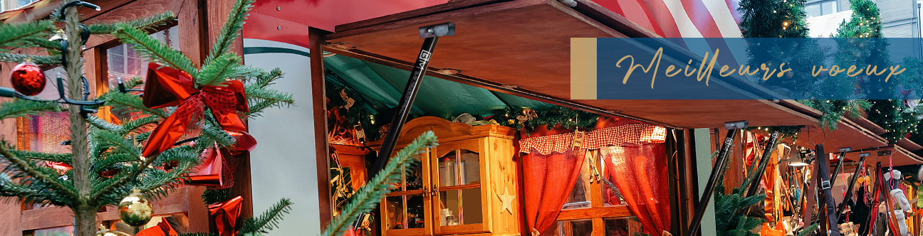 Achetez Vérin à Gaz et Compas à Gaz | Berthold Marx